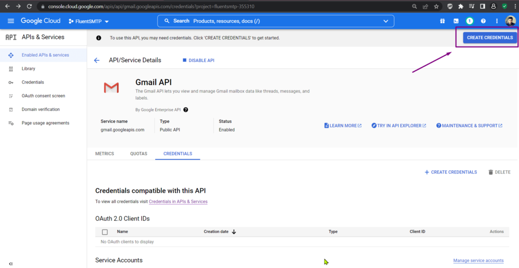 Connect Gmail or Google Workspace Emails with FluentSMTP - FluentSMTP